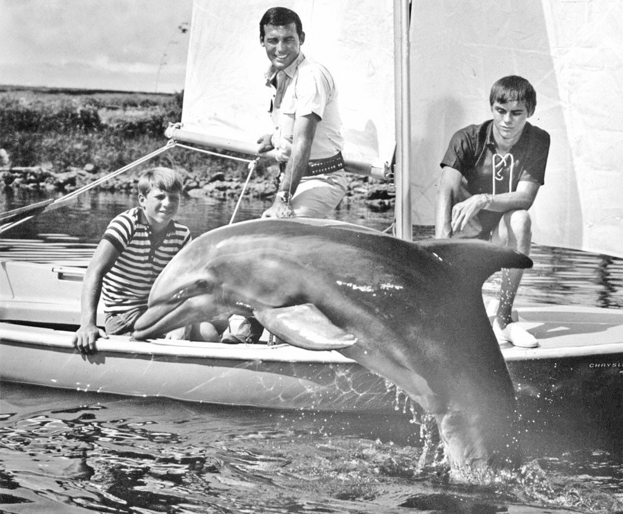Flipper telefilm
